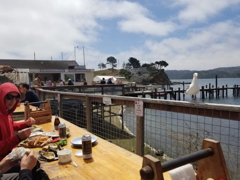 San Francisco: Cheese Honey Oysters Wine Tour of Sonoma - Who Will Love This Tour?