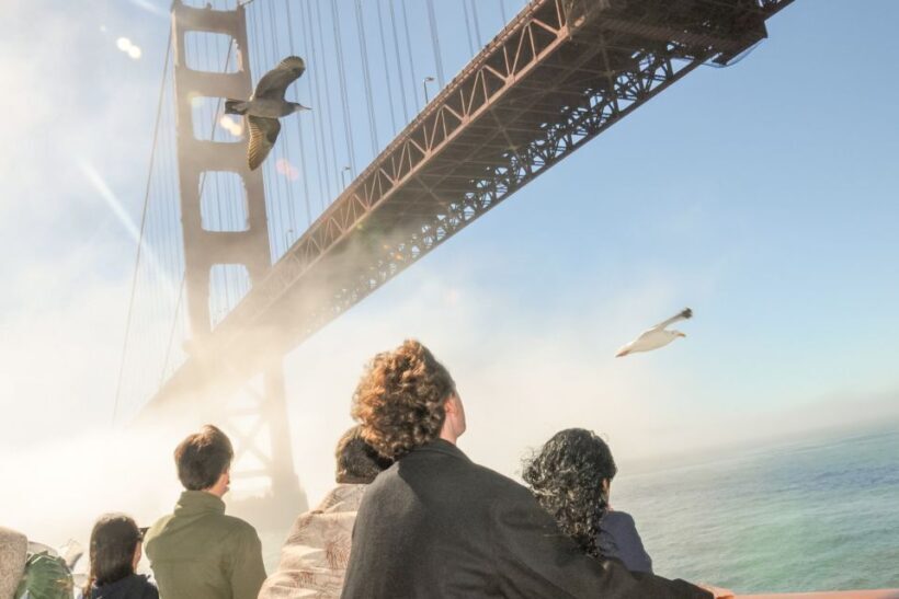 San Francisco: City Cruises Buffet Lunch or Dinner Cruise - Introduction