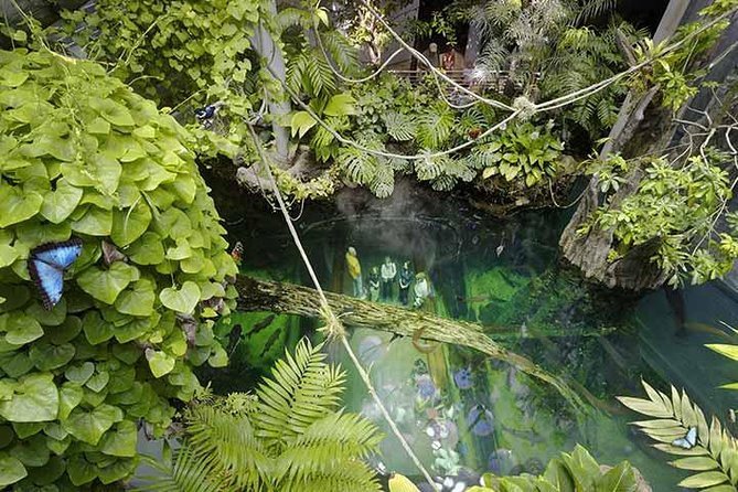 San Francisco CityPASS® - The Sum Up