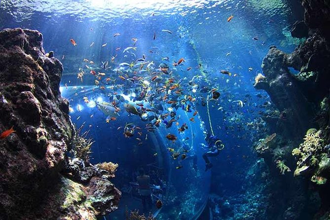 San Francisco CityPASS® - FAQ