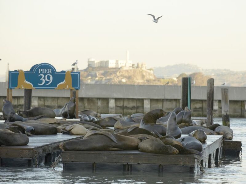 San Francisco CityPASS®: Save 46% at 4 Top Attractions - How the Schedule Works
