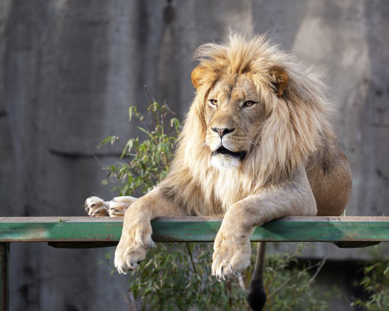 San Francisco CityPASS®: Save 46% at 4 Top Attractions - Who Would Benefit Most from the San Francisco CityPASS®?