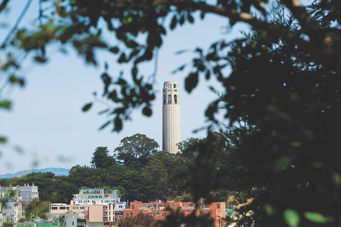 San Francisco: Coit Tower and Little Italy Guided Walking Tour - Discovering San Francisco Through a Guided Lens
