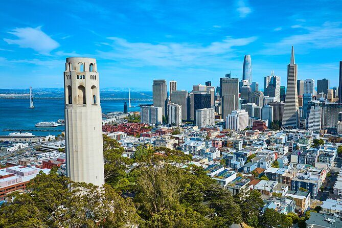 San Francisco: Coit Tower and Little Italy Guided Walking Tour - Who Will Love This Tour?