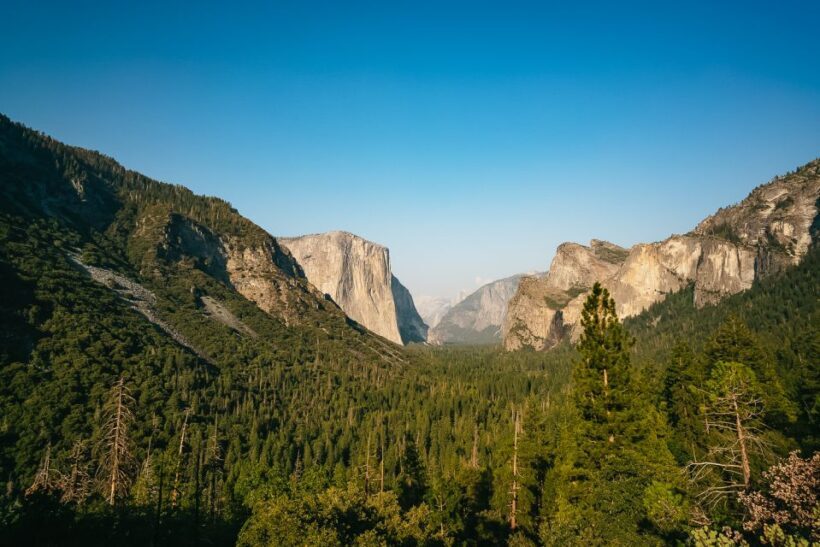 San Francisco: Day Trip to Yosemite with Giant Sequoias Hike - San Francisco: Day Trip to Yosemite with Giant Sequoias Hike — A Detailed Review