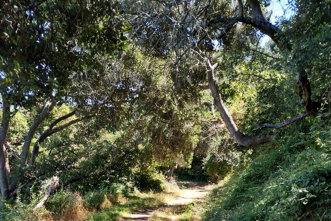 San Francisco E-bike Tour on Scenic Trails - The Sum Up: Who Should Consider This E-bike Tour?