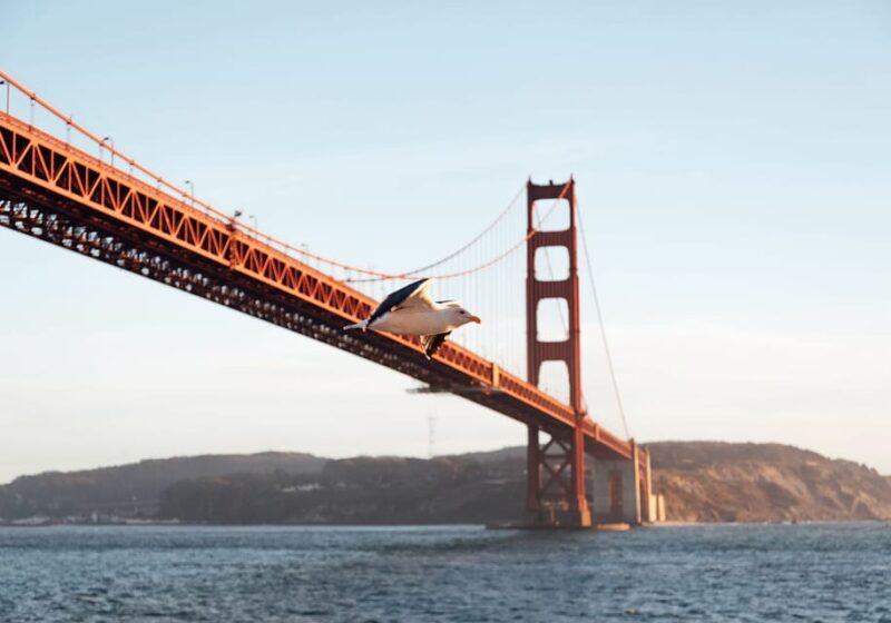 San Francisco: Easter Buffet Brunch or Dinner Bay Cruise - Who Will Love This Cruise?