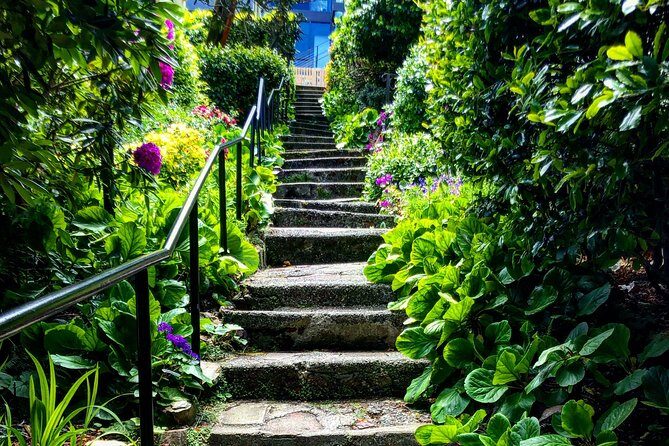 San Francisco Four Peaks Tour - A Closer Look at the Itinerary