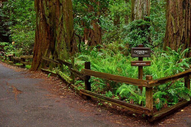San Francisco, Golden Gate, Sausalito and Muir Woods Private Tour - An In-Depth Look at the Tour