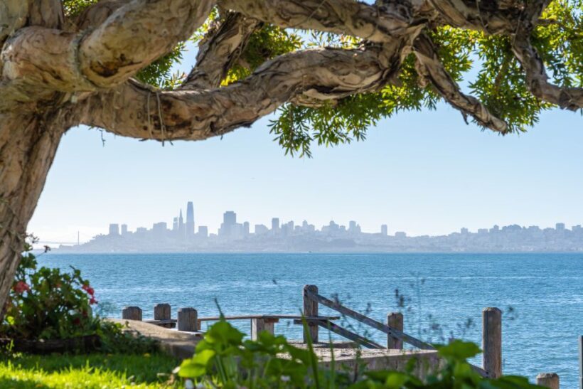 San Francisco Golden Gate Sausalito Muir Woods Private Tour - What to Expect From the Tour