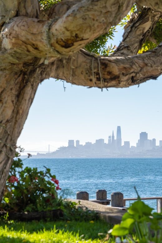 San Francisco Golden Gate Sausalito Muir Woods Private Tour - The Sum Up