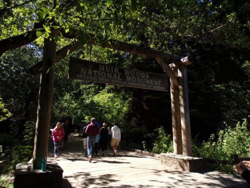 San Francisco Grand City Tour + Muir Woods and Sausalito - Returning to San Francisco