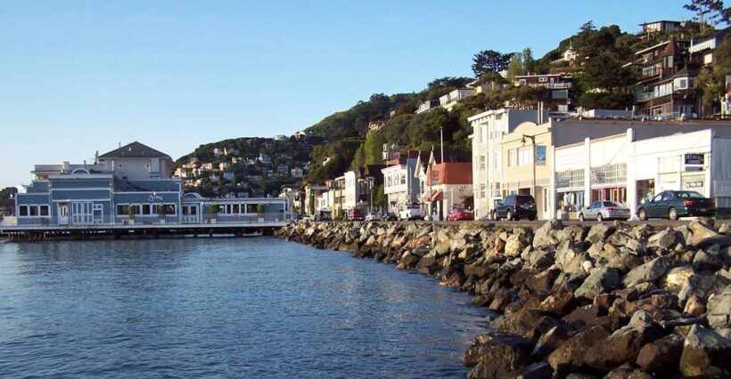 San Francisco: Guided Coastal Redwoods & Wine Country Tour - A Deep Dive Into the Experience
