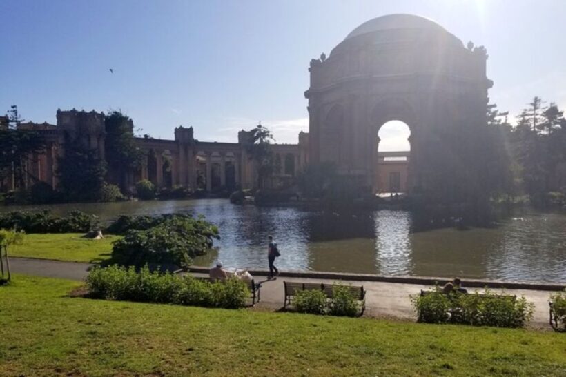 San Francisco: Guided Half-Day Group City Tour - Who Will Enjoy This Tour?
