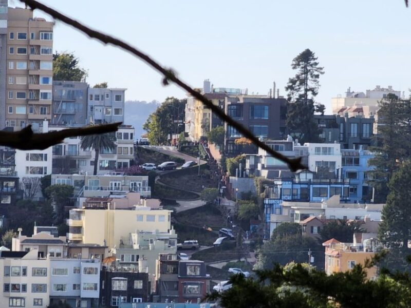 San Francisco: Guided Half-Day Group City Tour - Who Will Love This Tour?