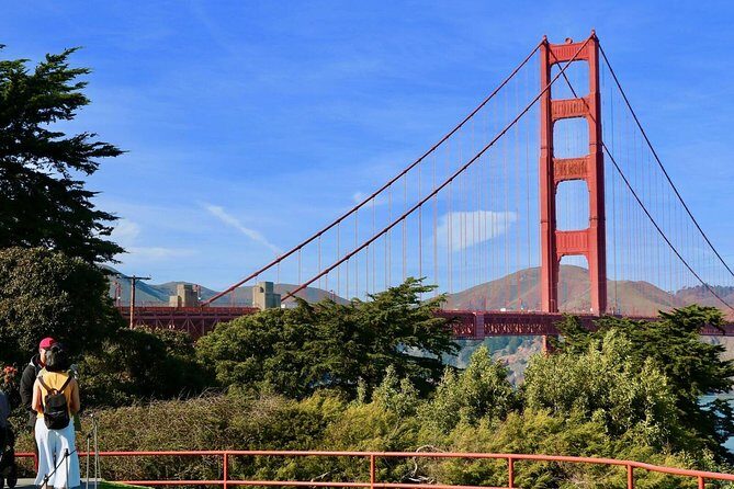 San Francisco: Guided Muir Woods Tour & Hop-on Hop-off Bus Tour - An In-Depth Look at the Tour Experience