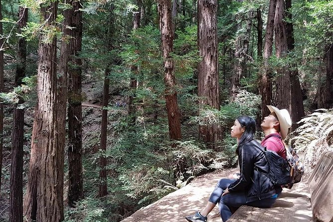 San Francisco: Guided Tour of Coastal Redwoods & Wine Country - The Itinerary: What You Can Expect