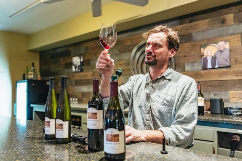 San Francisco: Half-Day Wine Country Excursion with Tastings - Transportation and Group Size