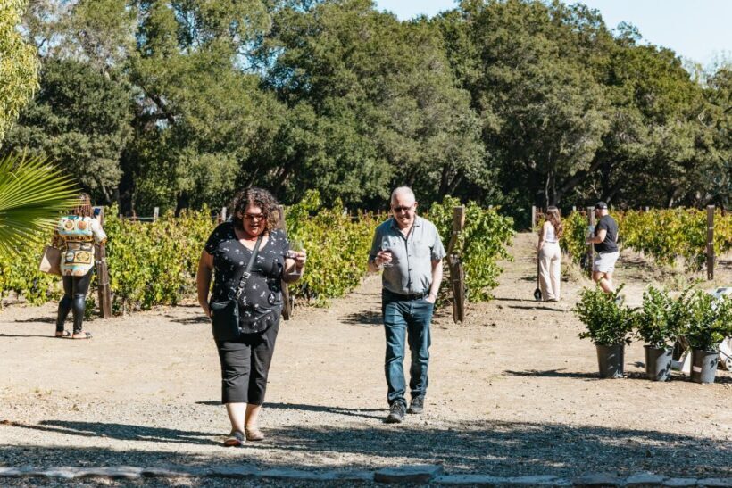 San Francisco: Half-Day Wine Country Excursion with Tastings - Duration and Timing