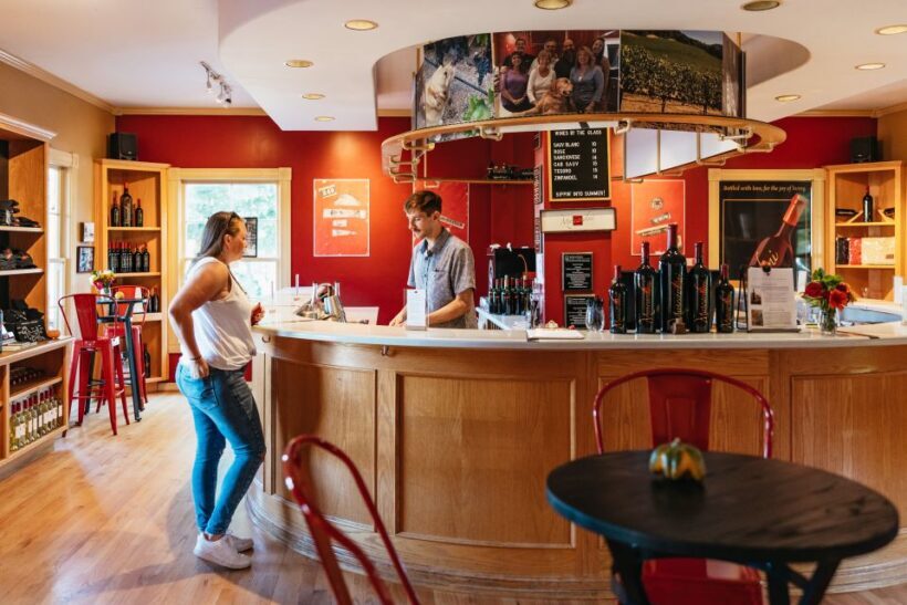 San Francisco: Half-Day Wine Country Excursion with Tastings - Value and Practical Tips