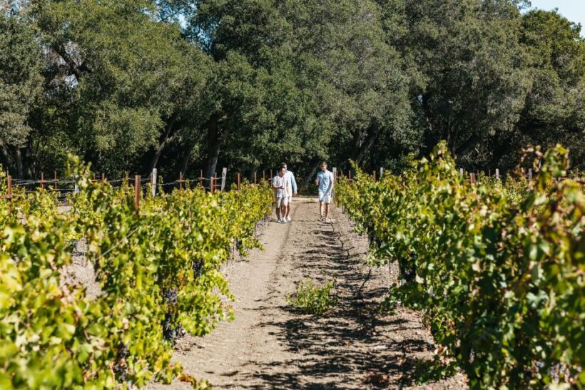 San Francisco: Half-Day Wine Country Excursion with Tastings - Frequently Asked Questions