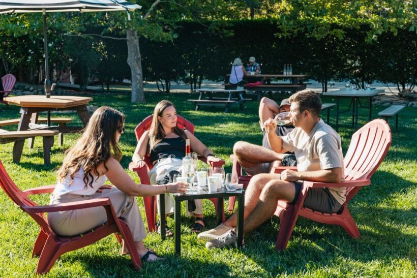 San Francisco: Half-Day Wine Country Excursion with Tastings - Final Thoughts