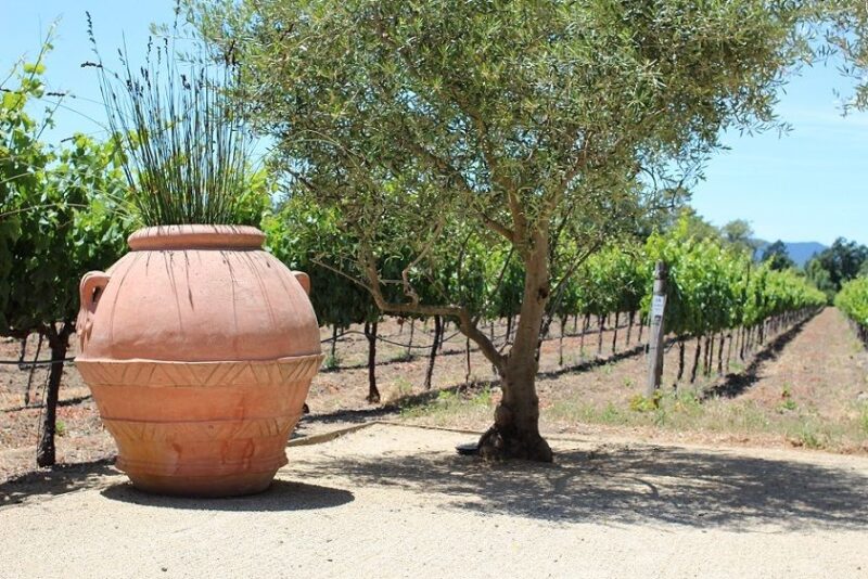 San Francisco: Half Day Wine Tour & Hop-On Hop-Off City Tour - What Travelers Say