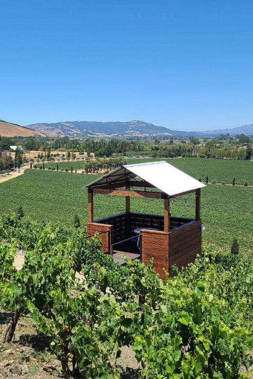 San Francisco: Half-Day Wine Tour with 2 Tastings Included - The Itinerary in Detail: What to Expect