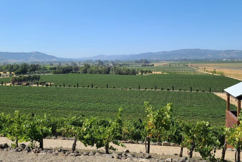 San Francisco: Half-Day Wine Tour with 2 Tastings Included - Authentic Insights from Past Travelers
