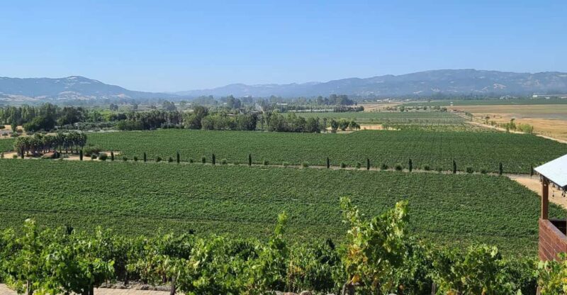 San Francisco: Half-Day Wine Tour with 2 Tastings Included - Who Will Enjoy This Tour?