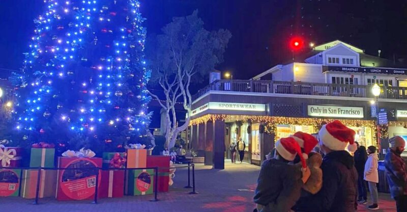 San Francisco: Holiday Lights Private Group Jeep Tour - What’s Included and What You Should Know