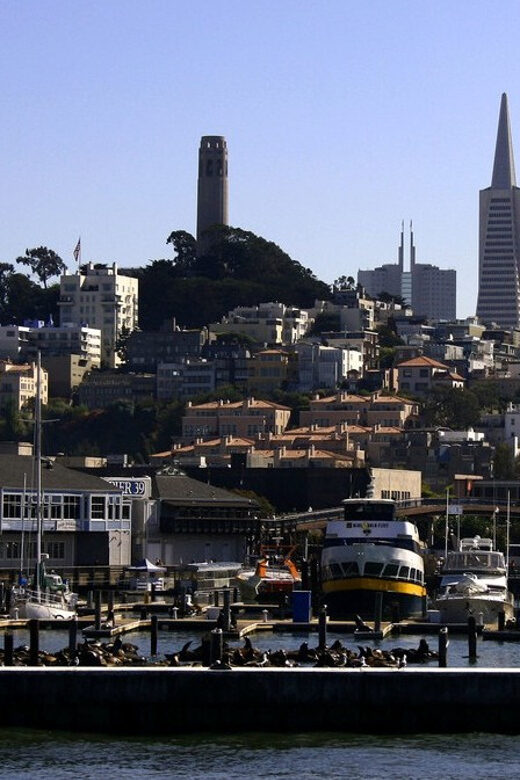 San Francisco: Hop-On Hop-Off City Bus Tour and Bay Cruise - The Bottom Line: Is It Worth It?