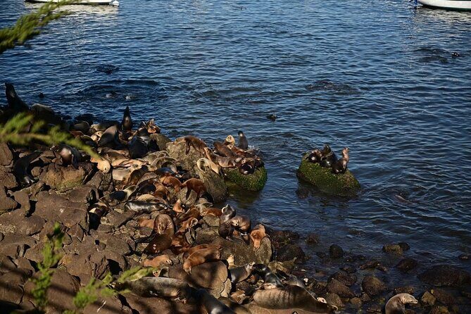 San Francisco International AirportSFO) Airport Transfer - How It Works – The Itinerary