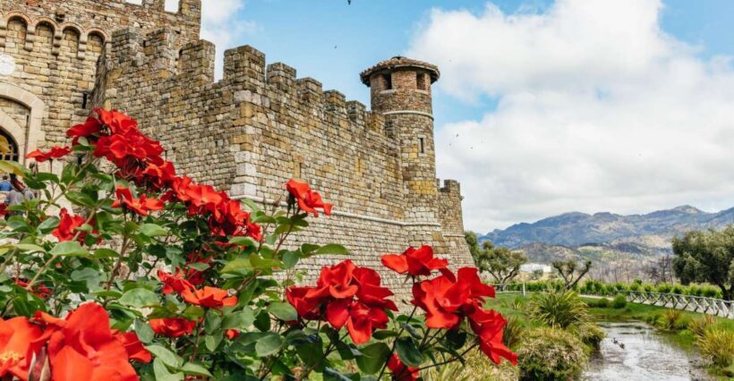 San Francisco: Luxury Small-Group Wine Tour of Napa Valley - A Day in Napa Valley — What to Expect
