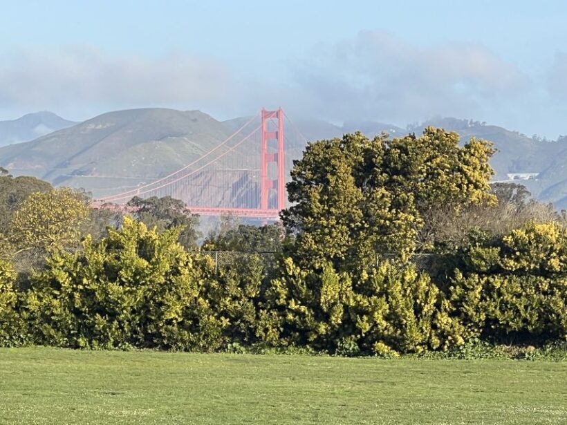 San Francisco: Major Landmarks Private Sightseeing Tour - Key Points