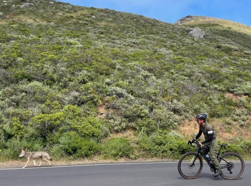 San Francisco: Marin Headlands Gravel Biking Tour +GG Bridge - Key Points