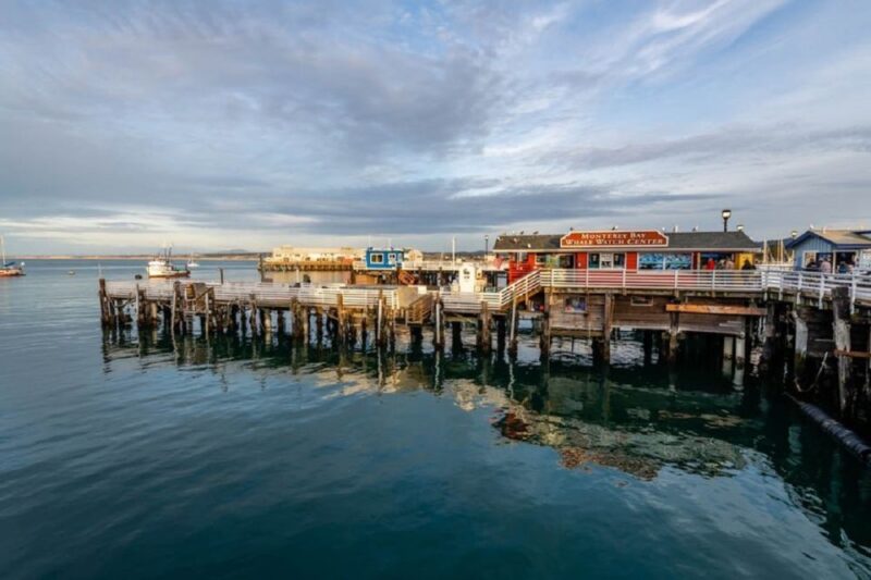 San Francisco: Monterey and Carmel Tour - Authentic Experiences and Review Highlights