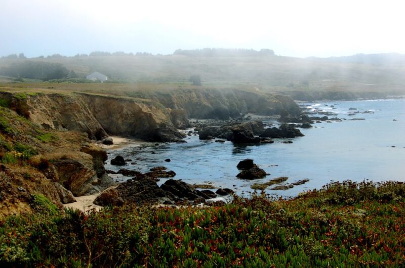 San Francisco: Monterey and Carmel Tour - The Sum Up: Is This Tour Right for You?
