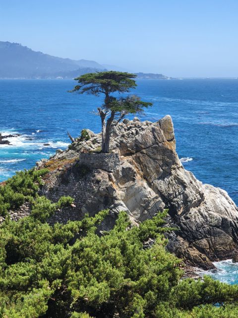 San Francisco: Monterey, Aquarium, and Carmel Private Tour - Who Should Consider This Tour?