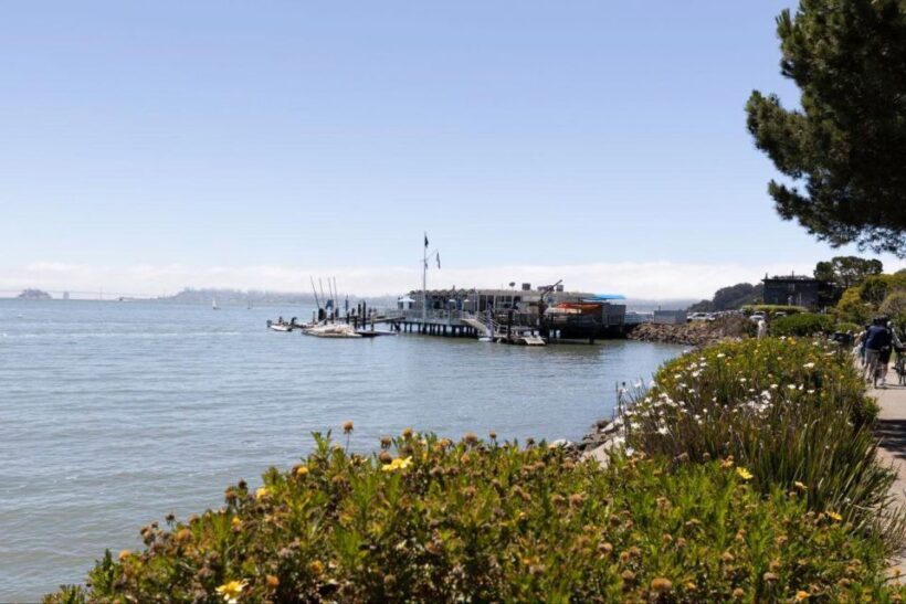 San Francisco: Muir Woods and Sausalito Entry Fee Included - Key Points