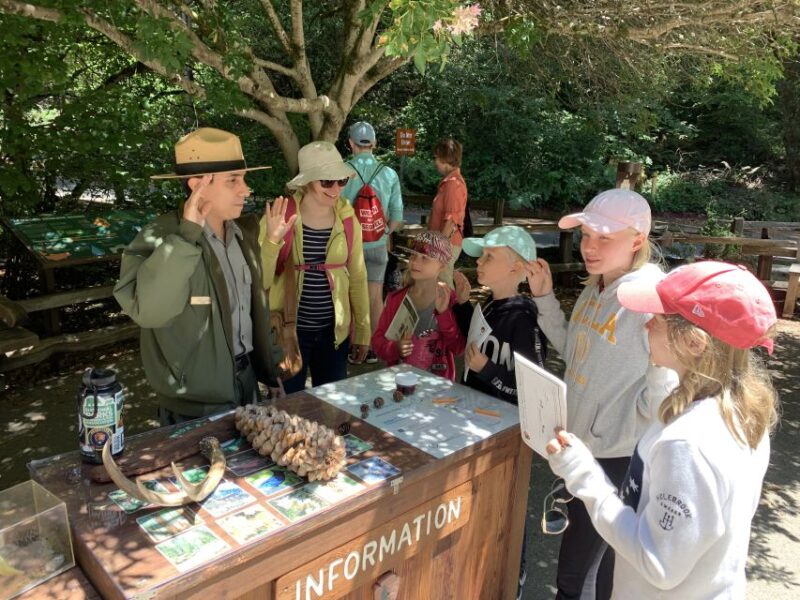 San Francisco: Muir Woods and Sausalito Small Group Tour - FAQ: Practical Questions Answered