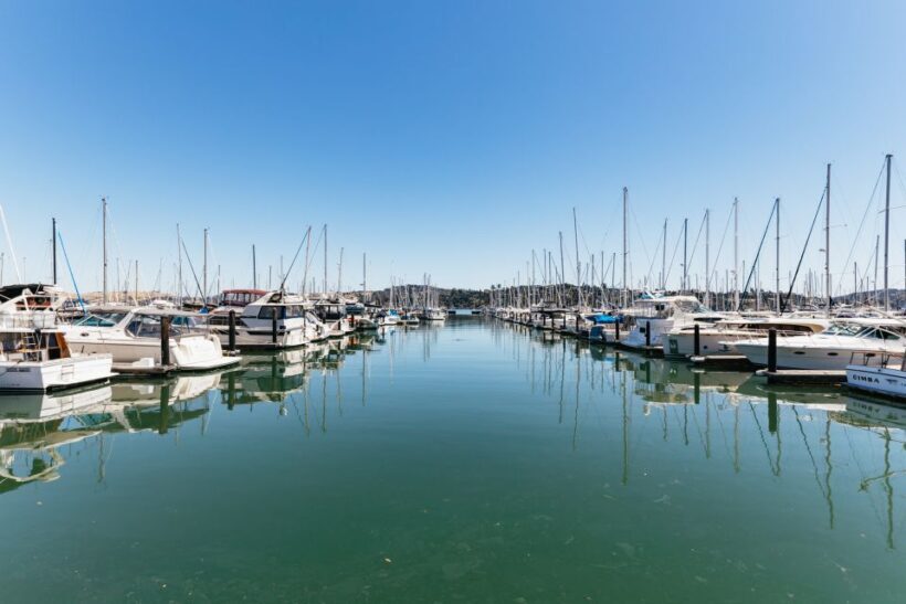 San Francisco: Muir Woods and Sausalito Small-Group Tour - Key Points