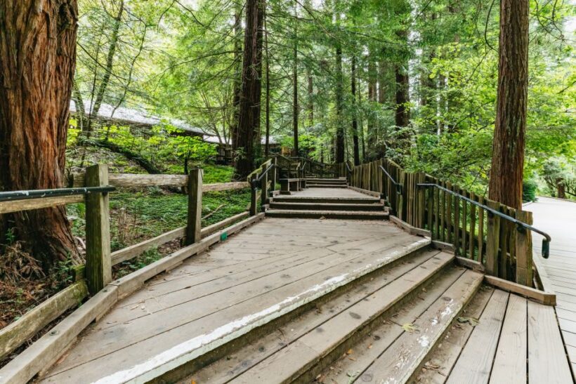 San Francisco: Muir Woods and Sausalito Small-Group Tour - Potential Drawbacks and Considerations