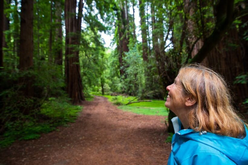 San Francisco: Muir Woods and Sausalito Tour with Admission - Key Points