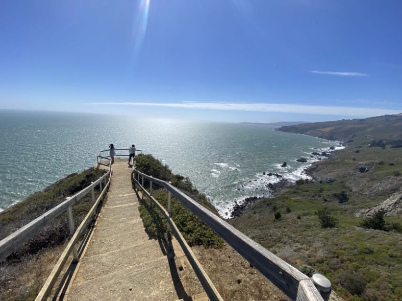 San Francisco: Muir Woods Giant Redwoods & City Private Tour - Afternoon in San Francisco: Sights and Customization