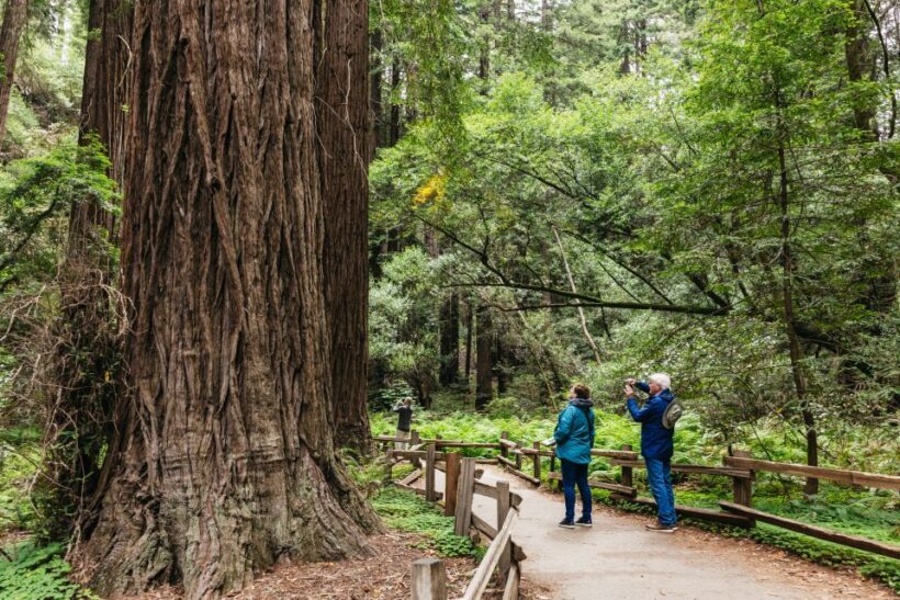 San Francisco: Muir Woods, Napa & Sonoma Valley Wine Tour - Who Is This Tour Best For?