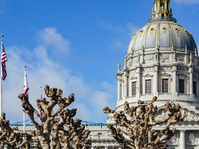 San Francisco: Muir Woods, San Francisco and Sausalito Tour - What the Reviews Reveal