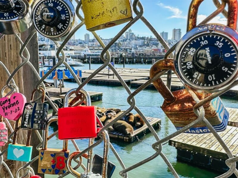 San Francisco: Muir Woods, San Francisco and Sausalito Tour - FAQ