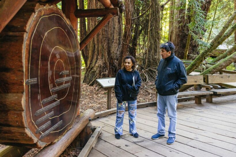 San Francisco: Muir Woods, Sausalito and SF Bay Cruise - An In-Depth Look at the Tour Experience