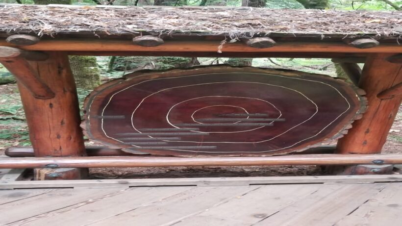 San Francisco: Muir Woods, Sausalito, and Sonoma Wine Tour - FAQs